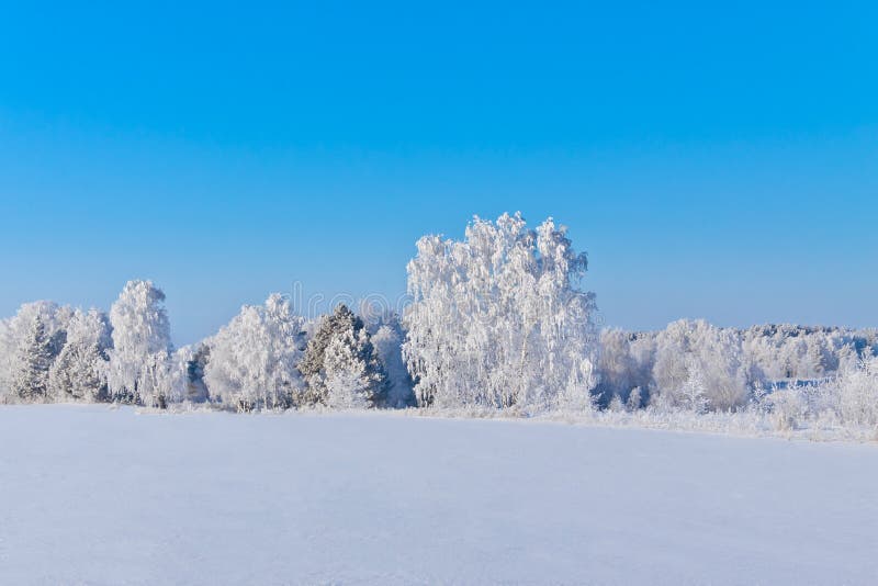 Winter in Russia stock image. Image of february, fairy - 30741293