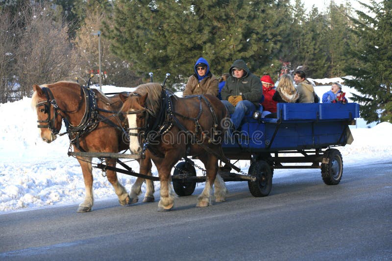 A winter s hay ride. editorial photo. Image of driver - 17371546