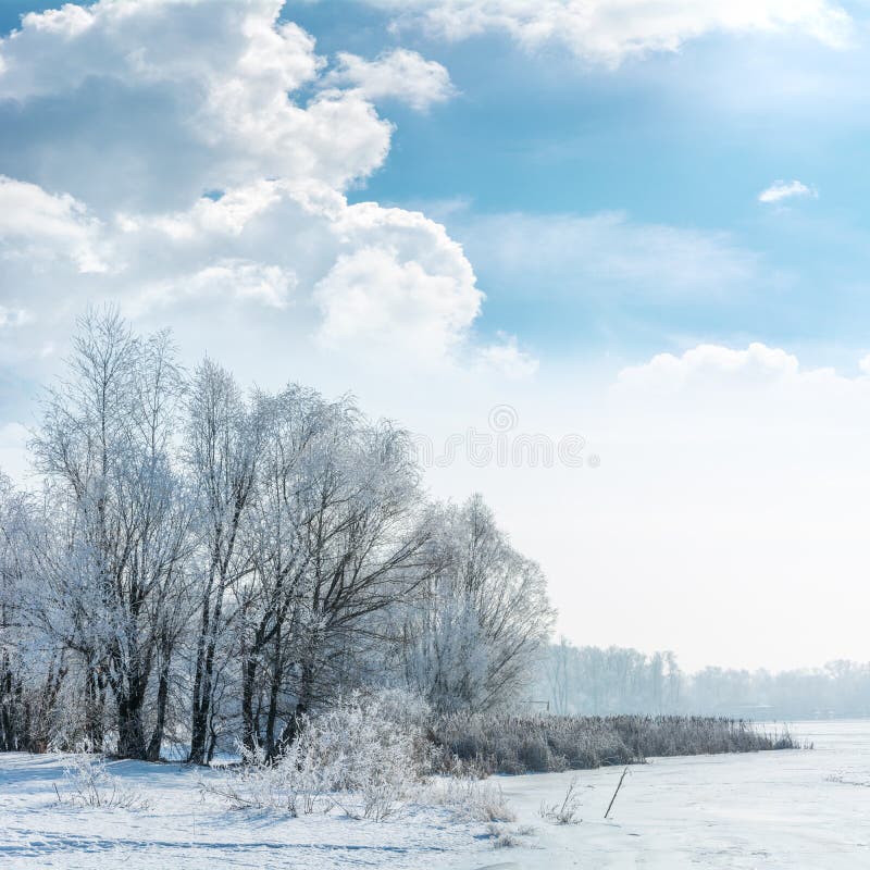 Winter`s Tale, Trees in the Frost Editorial Photography - Image of ...