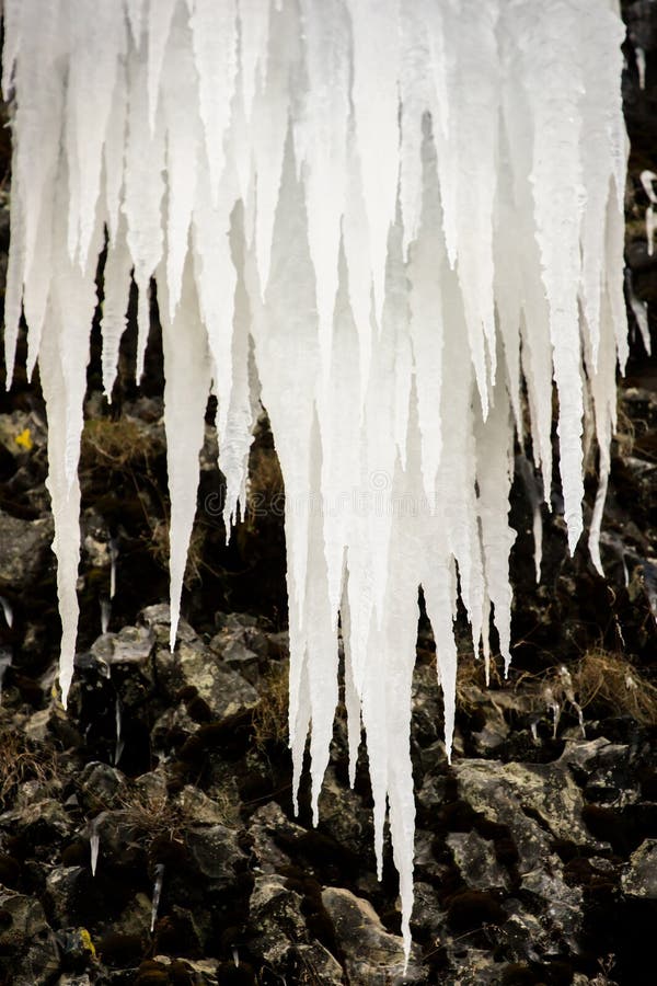 Winters teeth stock image. Image of water, icicle, white - 37215291