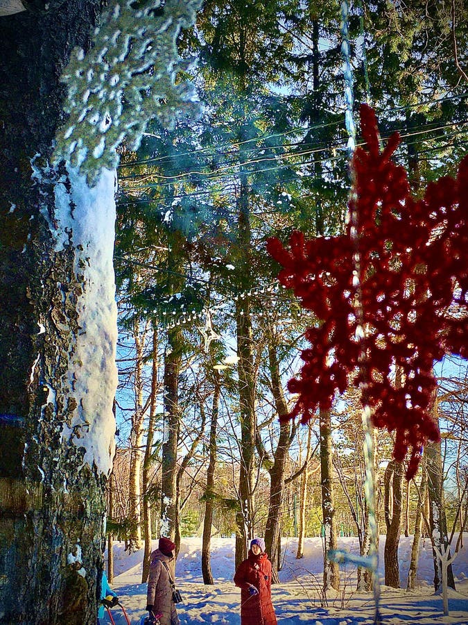 Winter in Sakhalin island editorial photo. Image of winter - 171936576