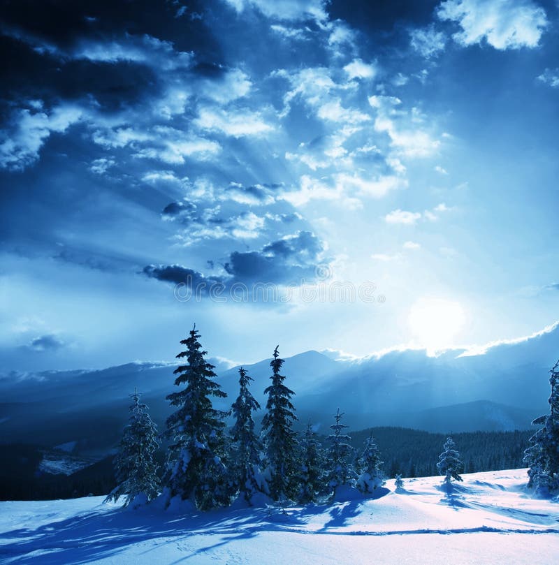 Winter scene stock image. Image of forest, evening, frozen - 11884773