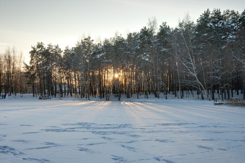 Winter scene stock image. Image of winter, tranquil, frozen - 13606561