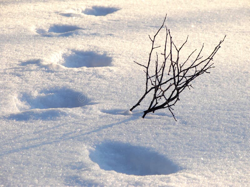 254 Bare Mound Stock Photos - Free & Royalty-Free Stock Photos from ...