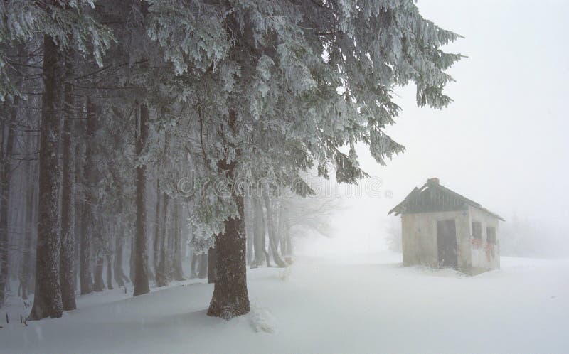 Winter scene stock image. Image of foggy, white, outdoor - 1531783