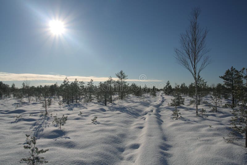 Winter scene stock image. Image of cool, moorland, light - 1776145