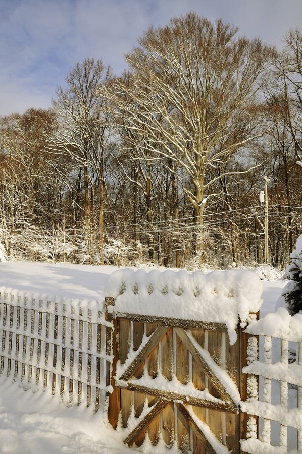 Winter Scene stock photo. Image of snowstorm, snow, freeze - 18538508