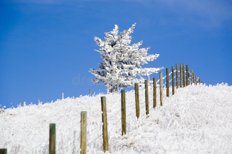 Winter Scene stock photo. Image of cold, blue, freeze - 2150728