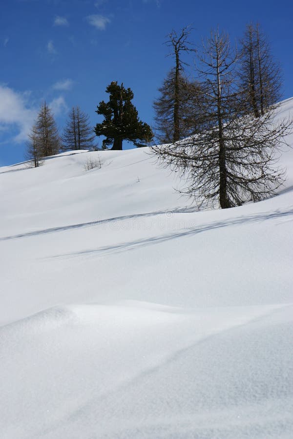 Winter scene stock photo. Image of snow, wild, nature - 2274922