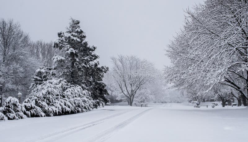 Winter Scene stock image. Image of winter, wonderland - 29632469