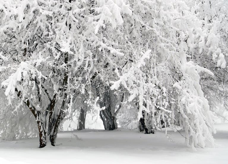 68,867 Light Winter Seasonal Scene Stock Photos - Free & Royalty-Free ...