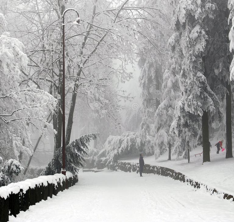 68,867 Light Winter Seasonal Scene Stock Photos - Free & Royalty-Free ...