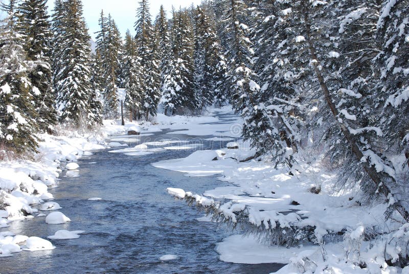 Winter Scene stock image. Image of colorado, river, forest - 5410115