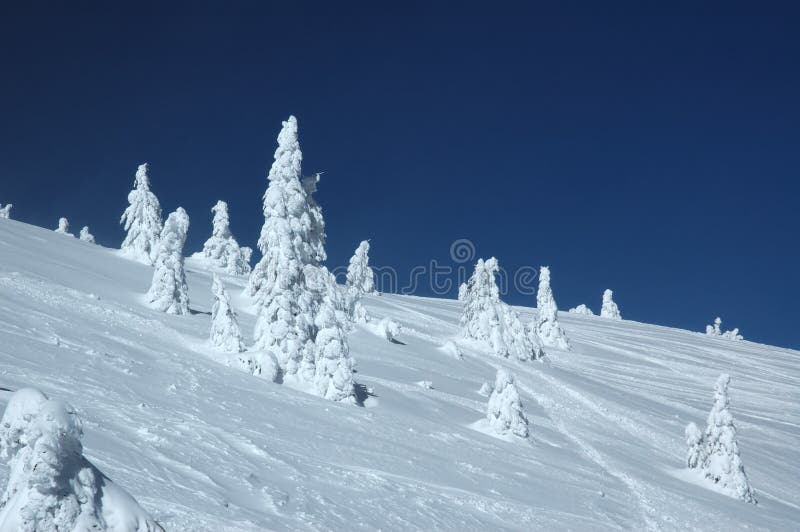 Winter scene stock photo. Image of cool, winter, skiing - 599684