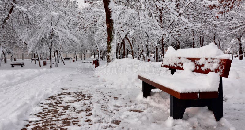 Winter Scene with Bench in Park Stock Image - Image of alley, covered ...