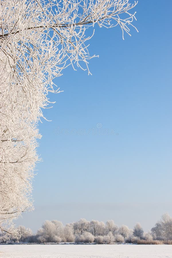 Winter snow landscape stock image. Image of scenic, snow - 22608191