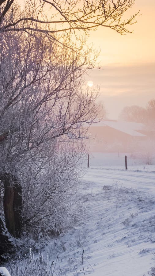 Winter scene on a Dutch stock image. Image of cold, ellewoutsdijk ...