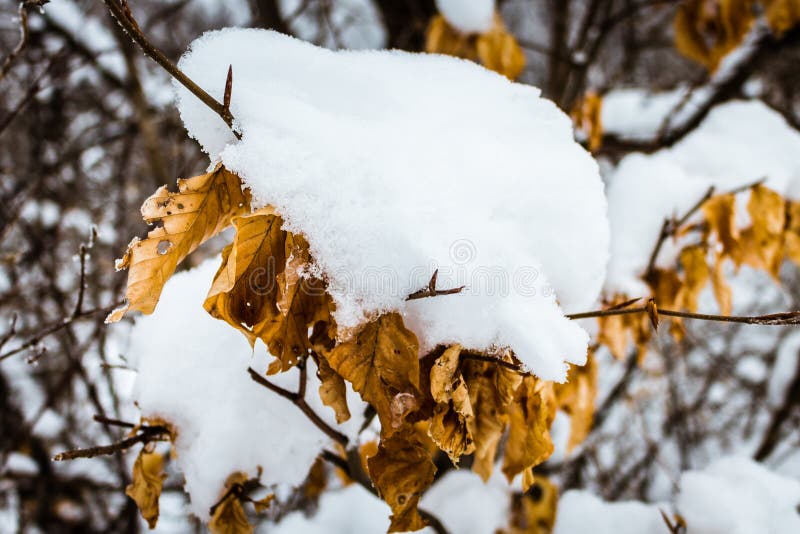 Winter scene stock photo. Image of february, prahova - 86725102