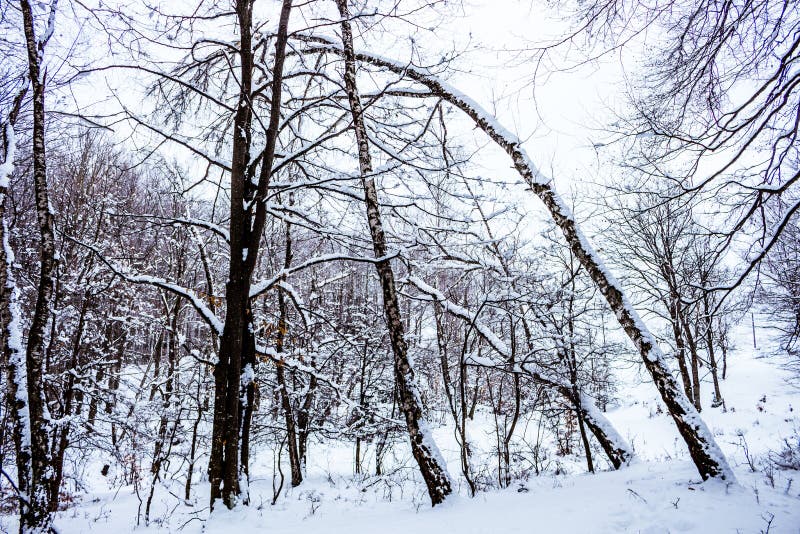 Winter scene stock image. Image of breaza, snowfall, winter - 86725379
