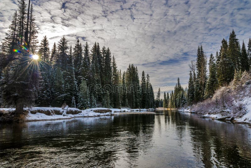 Winter Scene in a Forest with a River Stock Image - Image of rays, cold ...