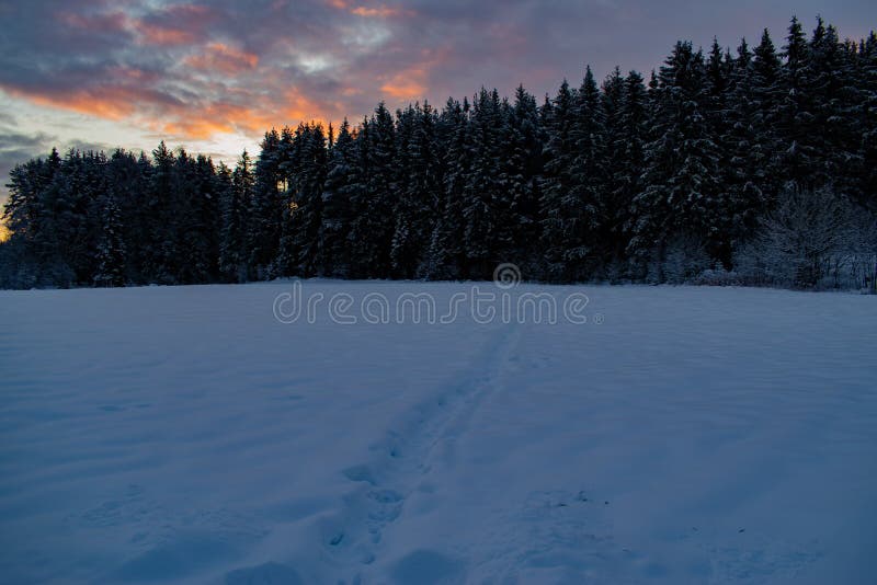 Winter Scene in Golden Hour in December Norway Stock Photo - Image of ...
