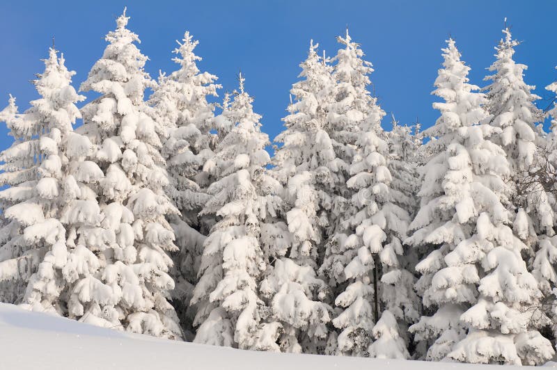 Winter Scene with Ice and Snow Stock Photo - Image of polar, crystal ...