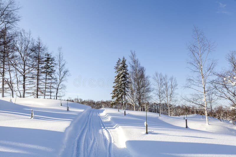 Winter scene stock image. Image of winter, nature, cold - 33921137