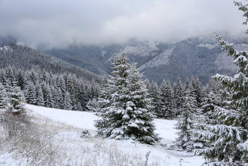 Winter scene in mountains stock photo. Image of peak - 66371490