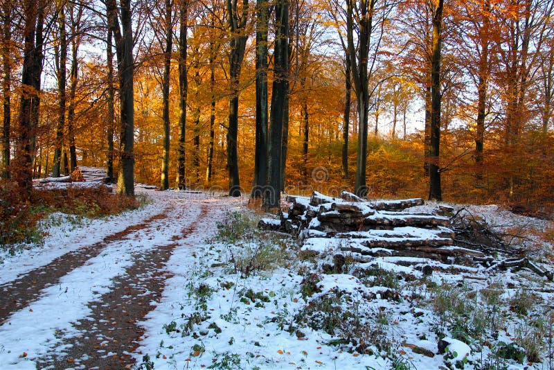 Winter scene in November stock photo. Image of road, scene - 82644718