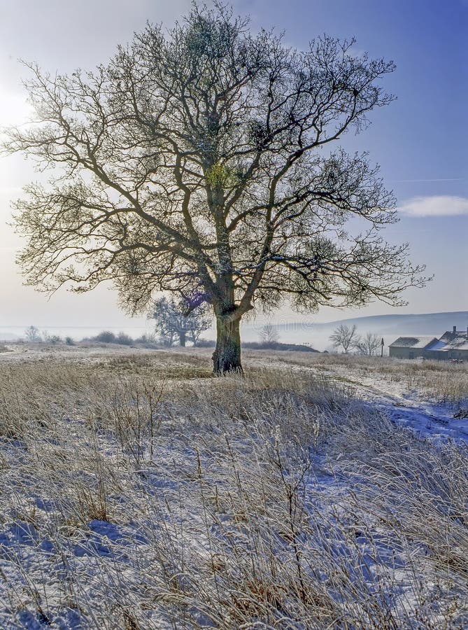 Harka Stock Photos - Free & Royalty-Free Stock Photos from Dreamstime