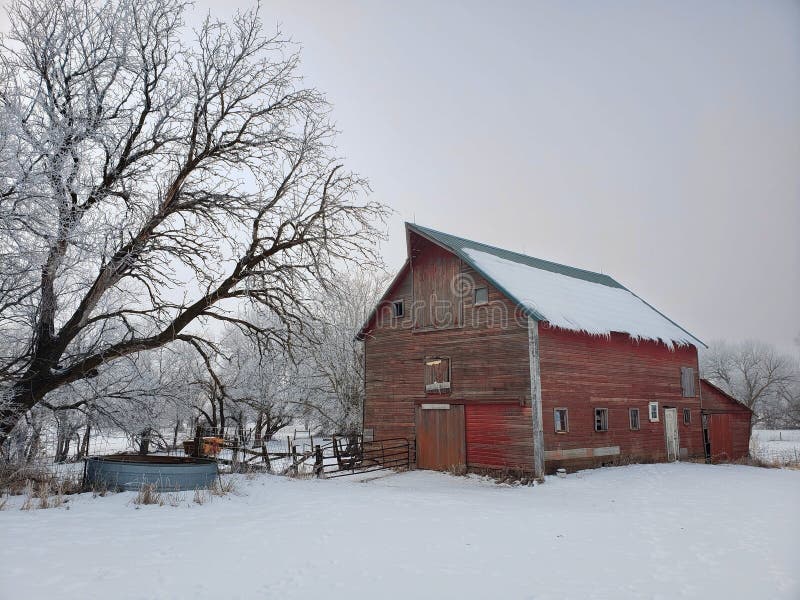 Winter Scene of Old Red Barn Stock Image - Image of peak, cattle: 321952741