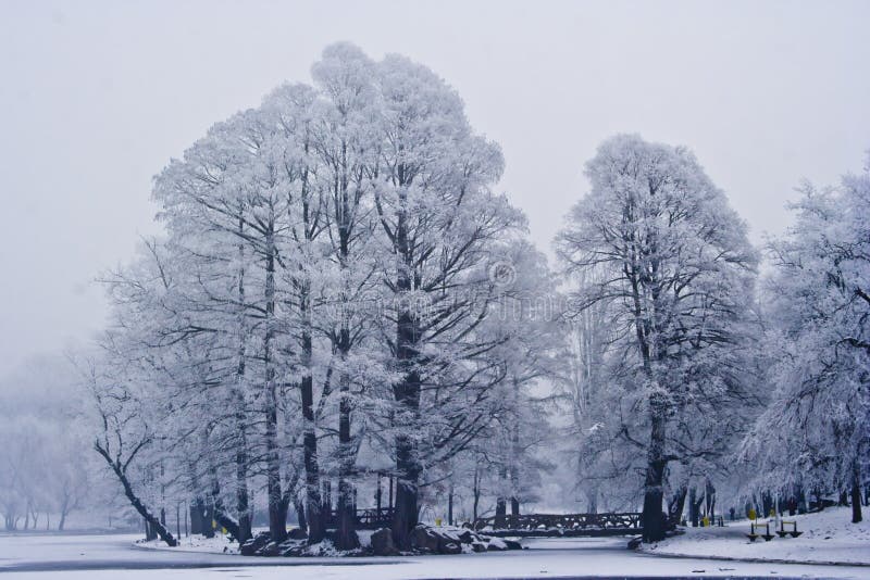 Winter scene in park stock image. Image of arbor, land - 3933583
