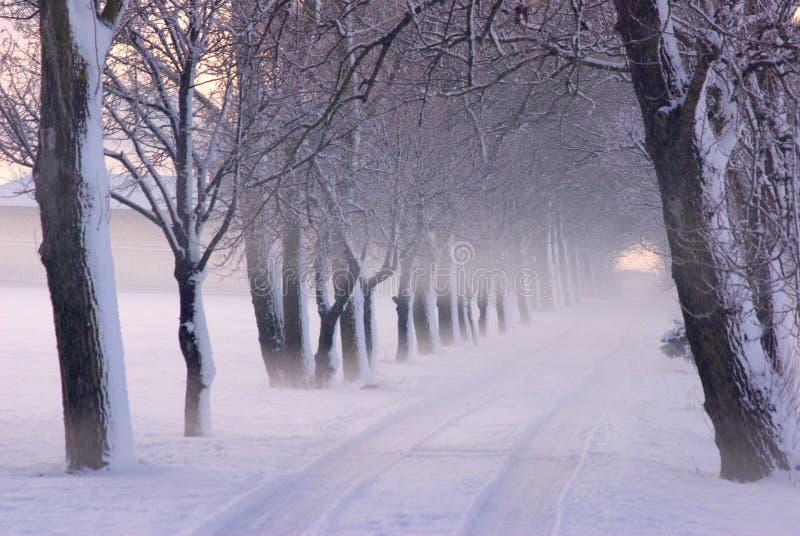 Winter Scene in Park stock photo. Image of kuressaare - 7253102