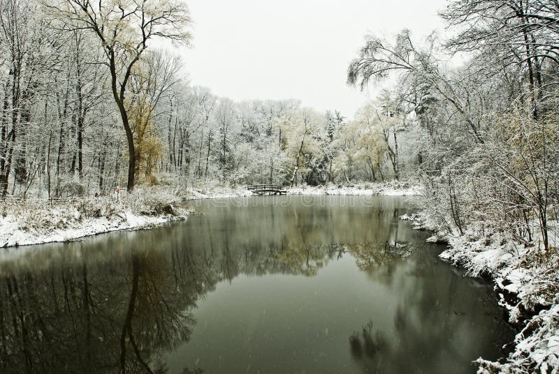 Winter Scene with Pond and Trees Stock Image - Image of serene, trees ...