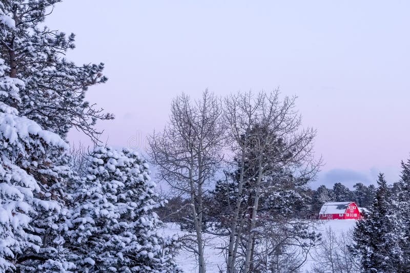 Winter Scene after a Snowstorm Stock Photo - Image of scenic, pine ...