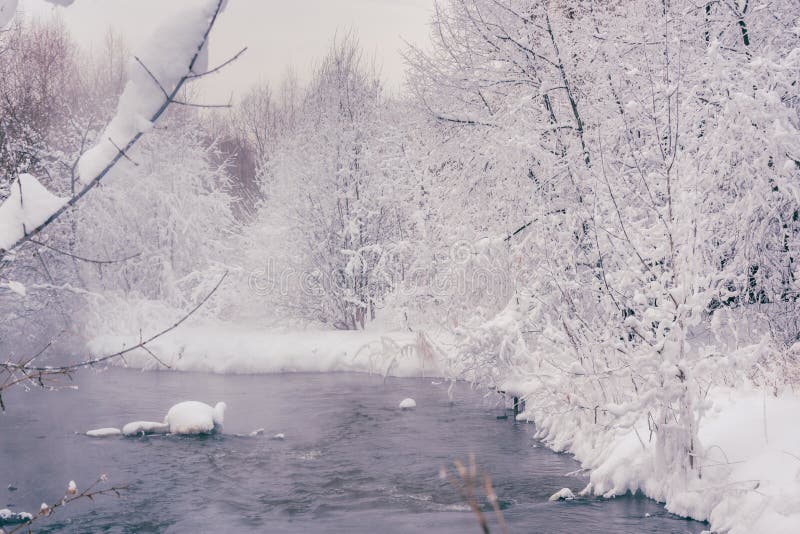 Winter Scene of Snowy Trees and River Stock Photo - Image of snow ...