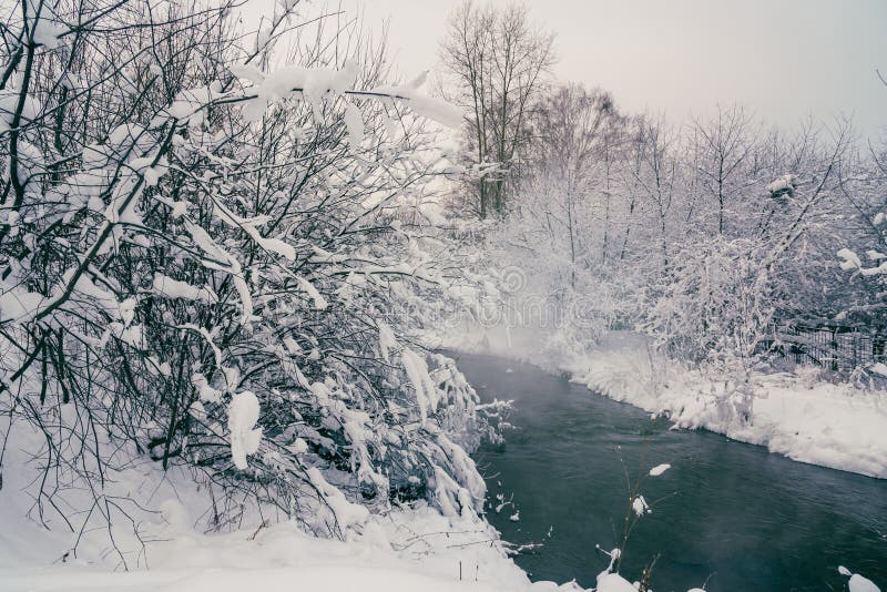 Winter Scene of Snowy Trees and River Stock Image - Image of january ...
