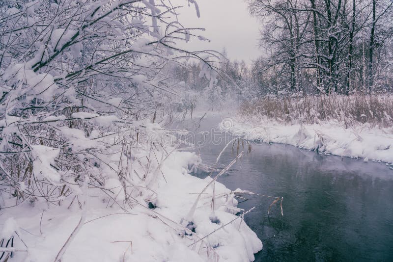 Winter Scene of Snowy Trees and River Stock Image - Image of light ...