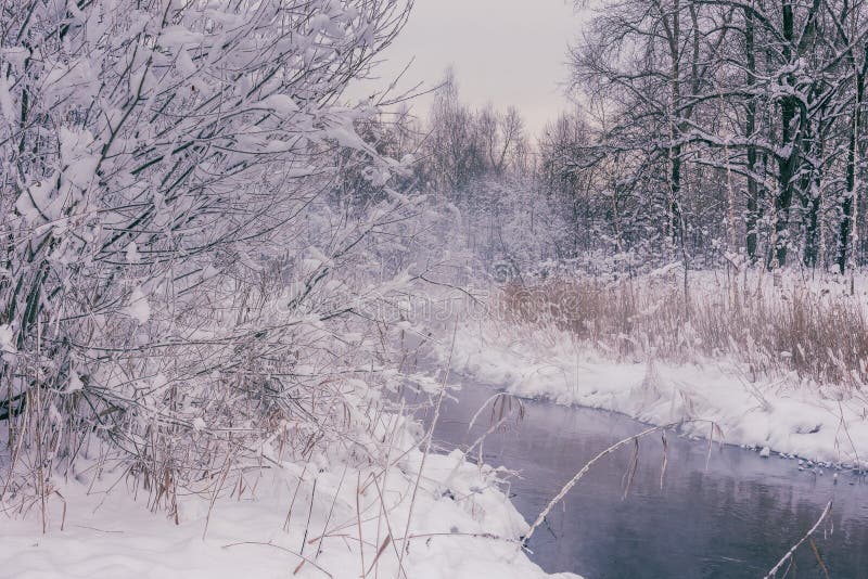 Winter Scene of Snowy Trees and River Stock Image - Image of blue ...