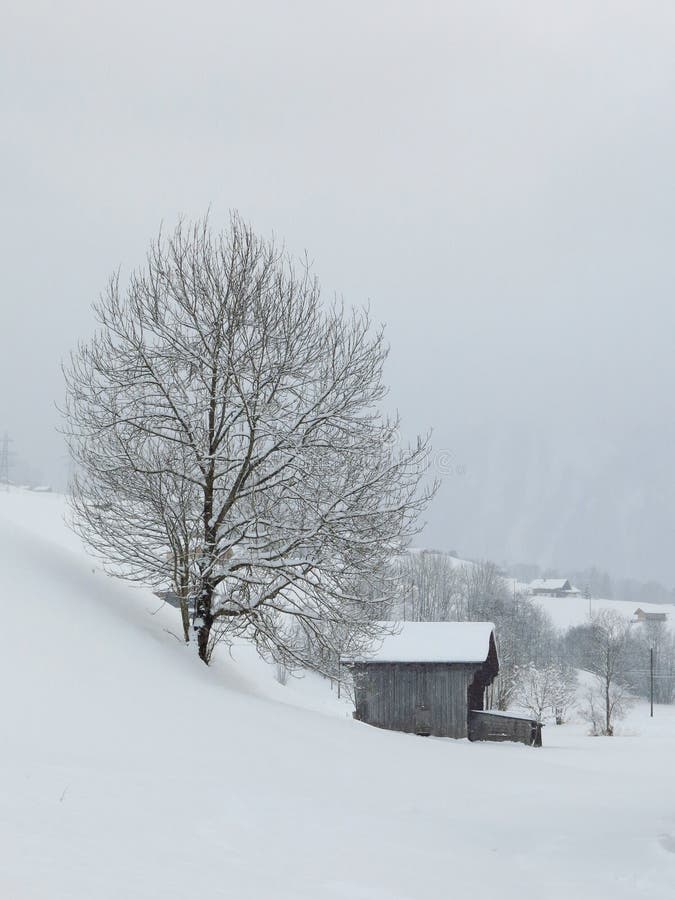 Winter Scene in the Swiss Alps Stock Photo - Image of rural, gstaad ...