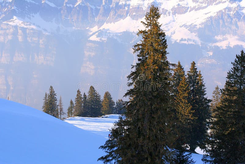 Winter Scene In Swiss Alps Picture. Image: 5275318