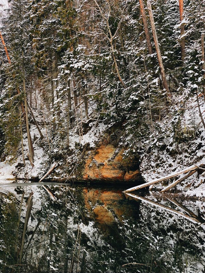 Winter Scene with Tree Branch Reflections on the Water Surface Stock ...