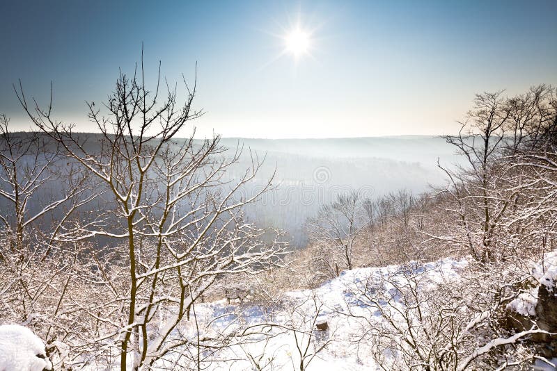 Winter Scene, Tree and Distant Stock Image - Image of hills, bright ...