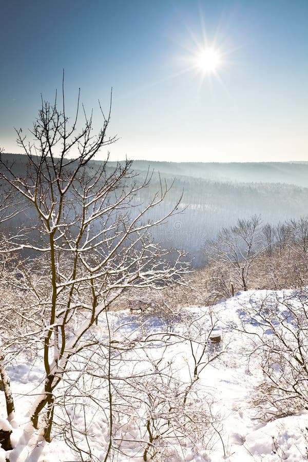 Winter Scene, Tree and Distant Stock Image - Image of tree, snow: 17628491