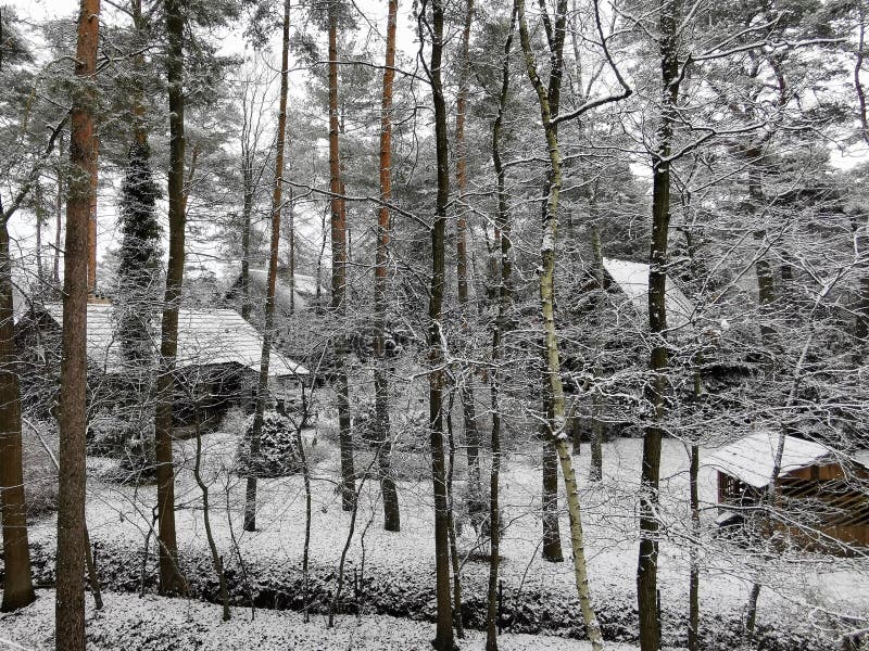 Winter Scene of Wooden Houses in the Forest. Stock Photo - Image of ...