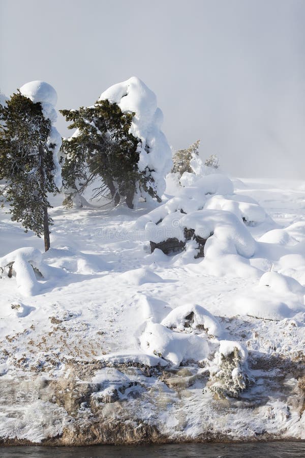 Winter Scene in Yellowstone National Park Stock Image - Image of ...