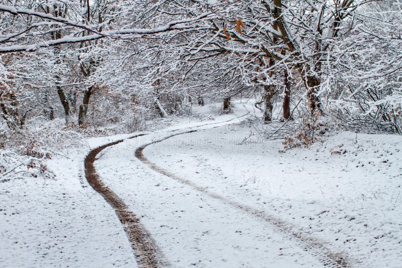 Winter scenery stock image. Image of path, snow, trees - 37412117