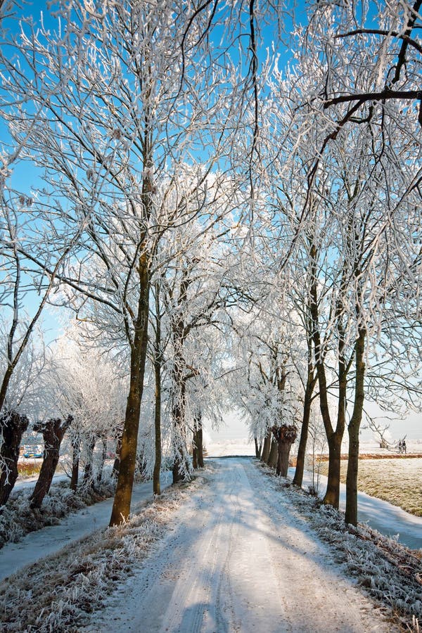 Winter Scenery in the Netherlands Stock Image - Image of wintertime ...