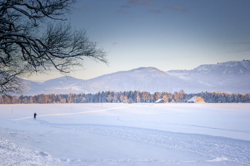 Winter scenery stock photo. Image of morning, chill, scenery - 48488324