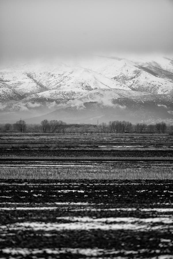 Winter scenery stock photo. Image of canal, cloud, cold - 91278988